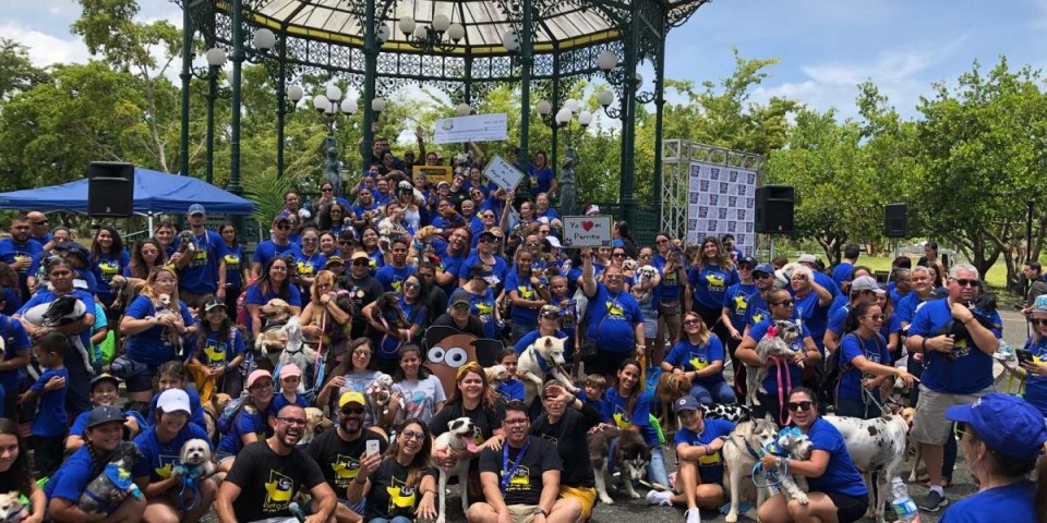 Honran Caninos Cuidadores de Pacientes de Cáncer en el Parque Central ...
