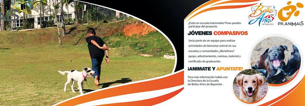 Proyecto Jóvenes Compasivos – Ciudad de Bayamón