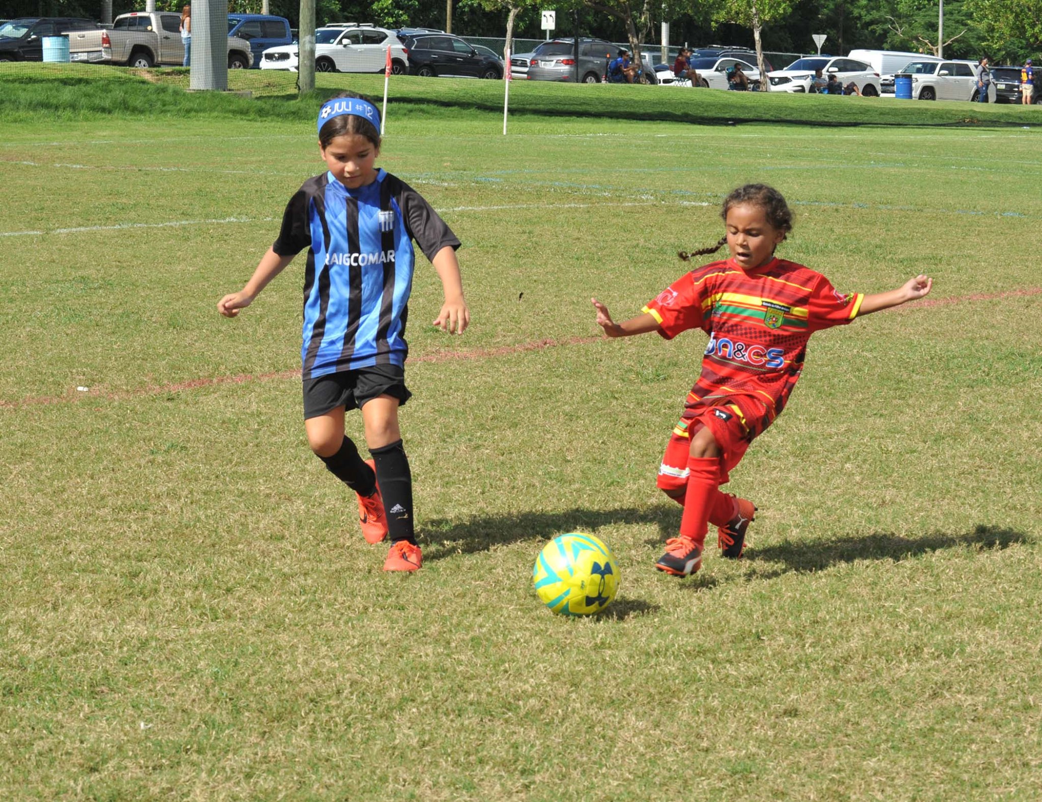 Ligas Infantiles y Juveniles se Dieron Cita en el Bayamón Soccer ...