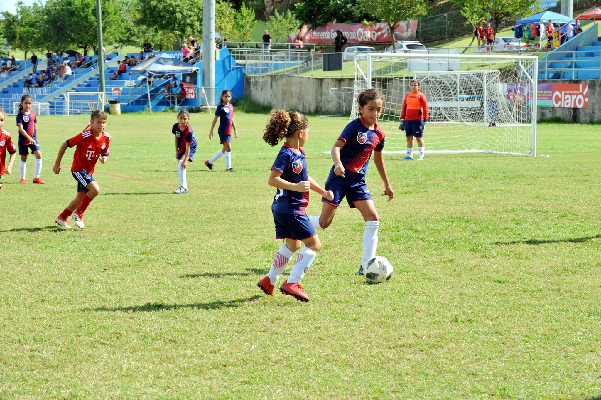 Ligas Infantiles y Juveniles se Dieron Cita en el Bayamón Soccer ...