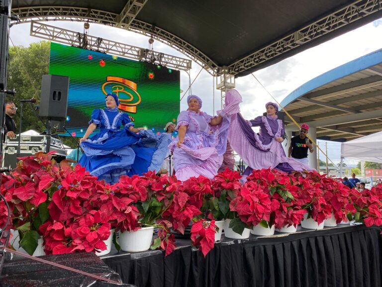 Galería: Navidad en el Parque Central de los Niños – Ciudad de Bayamón