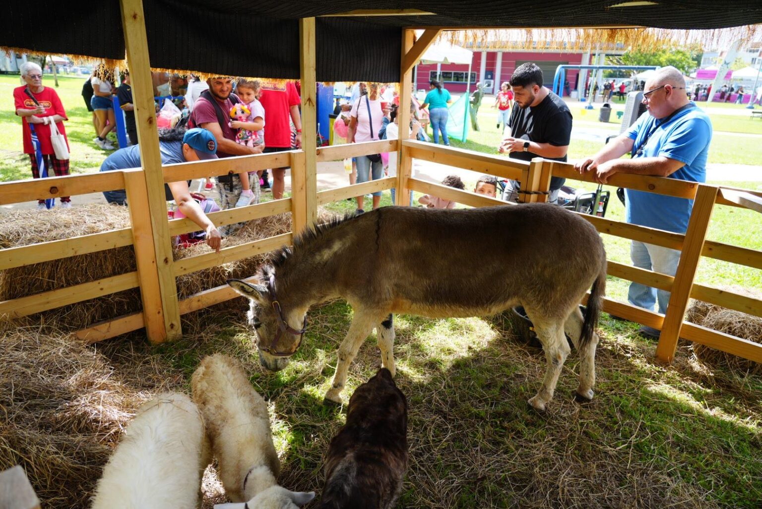 El Parque Central de Niños se lleno de Alegría Actividades Navideñas ...